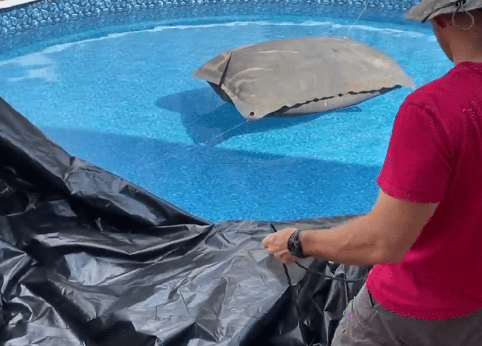 Above-Ground Pool Closing and Opening: Seasonal Maintenance Guide ...